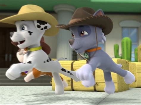 Image Marshall And Rocky At The Hoedown Png Paw Patrol Wiki