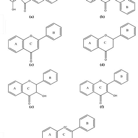 Types Of Flavonoids A Chalcone B Isoflavone C Flavone D