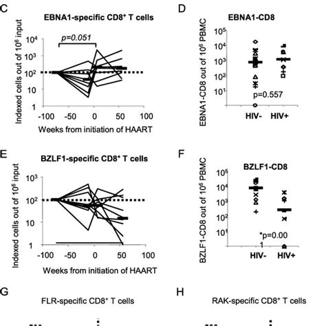 Effects Of Haart On Ebv Specific Cd4 T Cells Representative Facs Plots