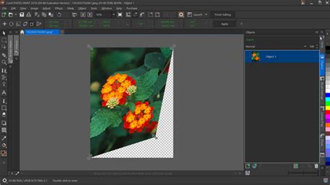 re error bitmap perspective in coreldraw 2019