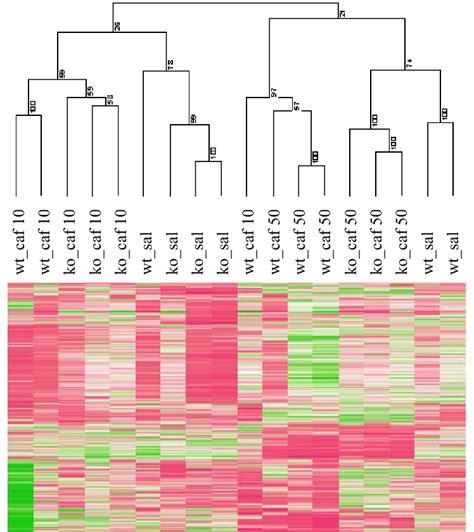 unsupervised hierarchical clustering analysis of striatal gene