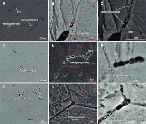 Typical Sem Images Near The Fracture Surface Of Cghazs After The