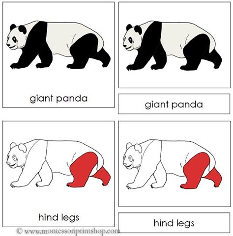 format label panda 103