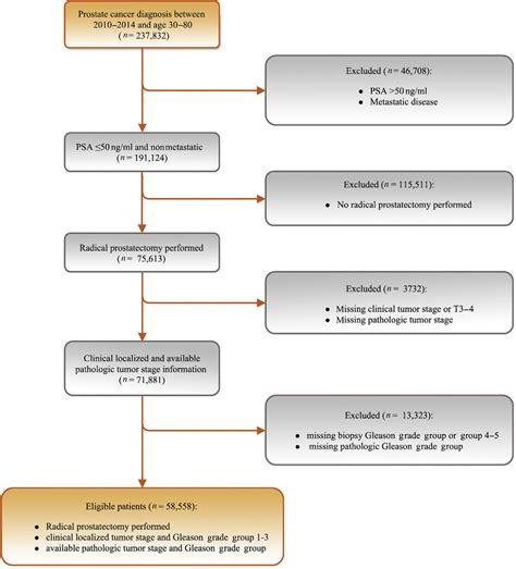flow diagram showing patient inclusion and exclusion psa