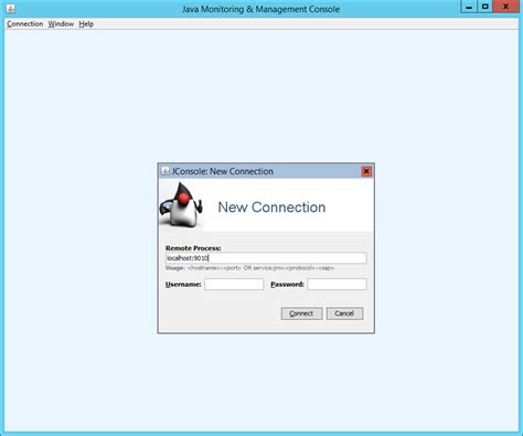 setting up jconsole to see java memory usage