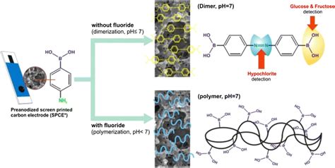 Schematic Representation Of Dimer Polymer Preparation Download