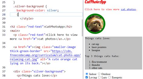 why is it wrong html css the freecodecamp forum