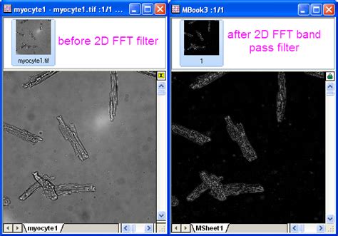 help online tutorials 2d fft and filter