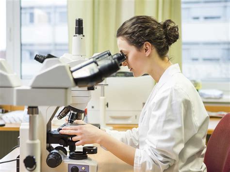 losing weight may be down to the diversity of microorganisms in the gut