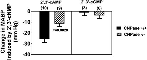 2′ 3′ Cgmp Exists In Vivo And Comprises A 2′ 3′ Cgmp Guanosine Pathway