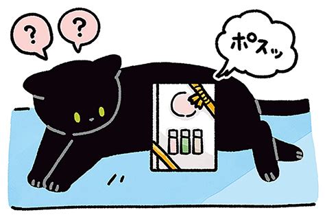 黒猫にとっては謎のまま？飼い主が記念撮影をするときの習性／黒猫ろんと暮らしたら4（7）【2ページ目】 レタスクラブ