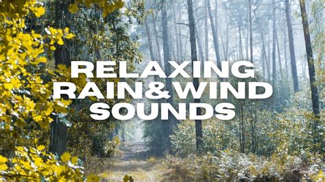 Relaxing Rain And Wind Sounds 1 Hour Of Relaxation Stress Relief Deep
