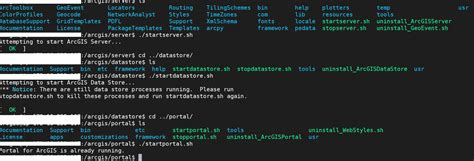 monthly linux tip getting started with an esri aws ami