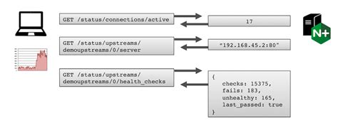 announcing nginx plus release 4 nginx