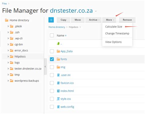 how to calculate the size of a directory in plesk file manager
