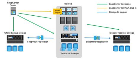 flexpod datacenter for sap solution with cisco aci cisco ucs manager 4