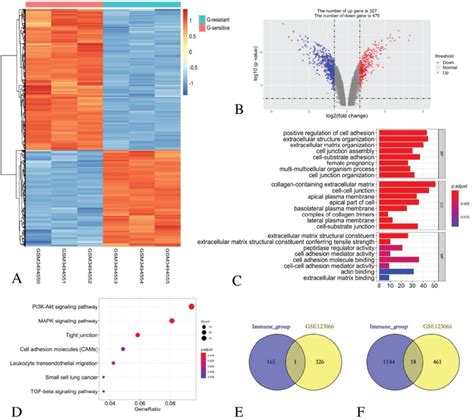 Identification Of Degs In Gse123066 And Go Kegg Pathway Enrichment