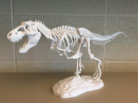 3d Printed T Rex 3d Printing Of A Tyrannosaurus Rex From T… Flickr