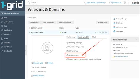 plesk disabling the dns service 1 grid knowledge base