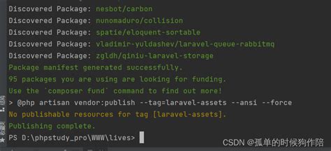 script php artisan package discover ansi handling the post autoload
