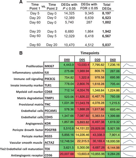 Rna Expression Profiles Of Genes Illustrate The Temporal Shift In