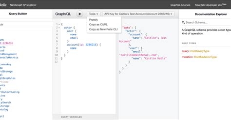 getting started with nerdgraph—the new relic graphql api explorer new