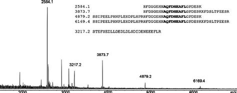 Maldi Tof Mass Spectrum Of Acid Eluted Peptides After Trypsin Treatment