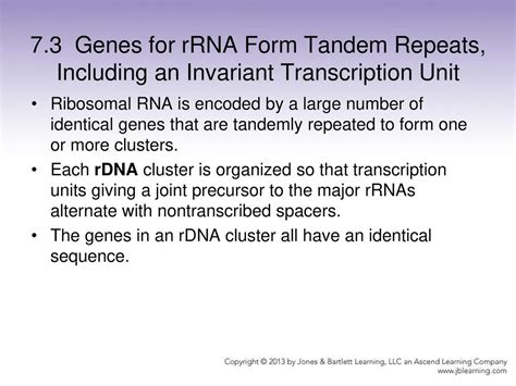 Chapter 7 Clusters And Repeats Ppt Download