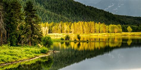 Wallpaper Trees Landscape Forest Lake Nature Reflection River