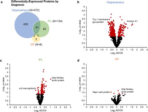 Differentially Expressed Proteins By Diagnosis In Each Region A Venn