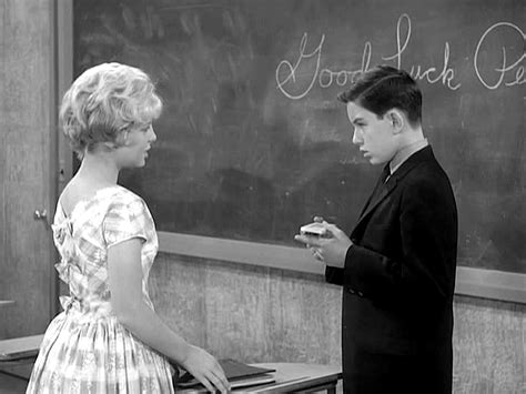 The Twelve Best Leave It To Beaver Episodes Of Seasons Five And Six