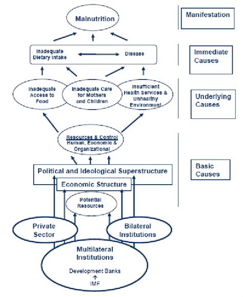 Conceptual Framework Of The Causes Of Malnutrition Download