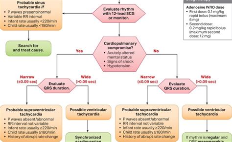 Pediatric Advanced Life Support Pals Tachycardia Algorithm Otosection
