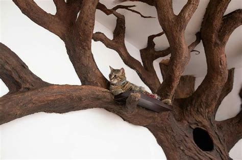 Homemade Cat Tree Custom Cat Trees Diy Cat Tree Gorgeous Cats