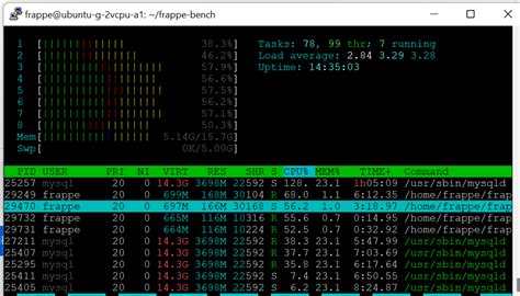 mariadb innodb buffer pool size high but ram usage is low stack
