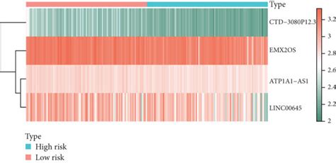 Prognostic Analysis Of The 4 Lncrna Risk Score In The Training Set Of