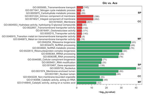 Jof Free Full Text Rna Seq Based Transcriptome Analysis Of