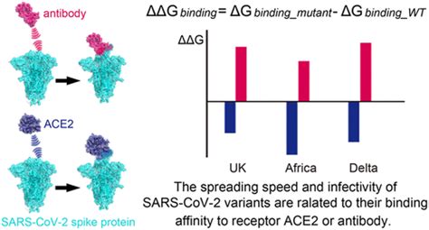 Predicting Mutational Effects On Receptor Binding Of The Spike Protein