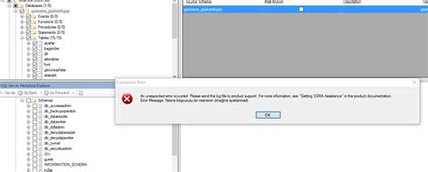 sql server migration assistant giving error while converting data from