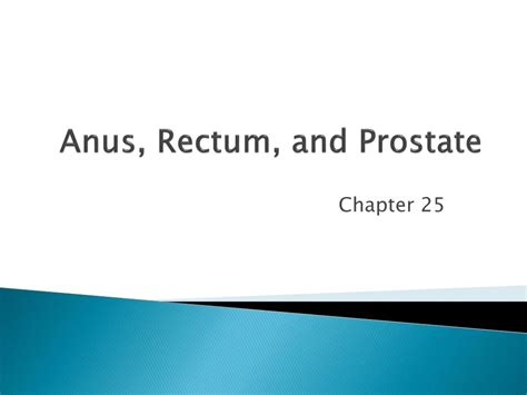 Ppt Anus Rectum And Prostate Powerpoint Presentation Free Download