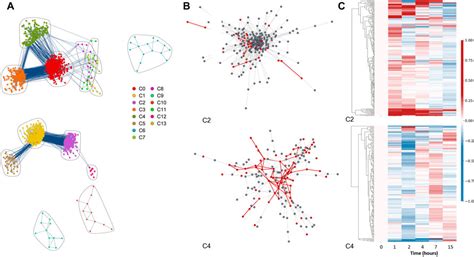 Frontiers Applying Differential Network Analysis To Longitudinal Gene