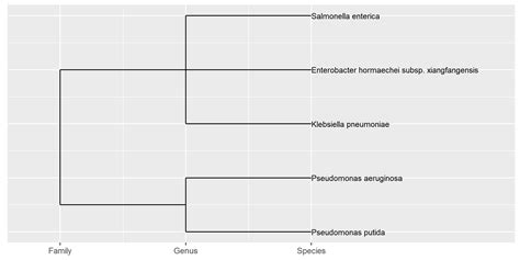 r hierarchical categorical data to tree plot stack