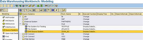 an sap consultant create source system for flat file sap bi