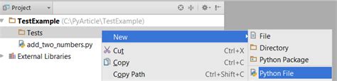 using pytest testing tool to test python code by