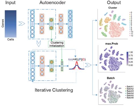 deep learning in single cell genomics laboratory for statistical and