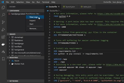 python container exits without logs in certain cases