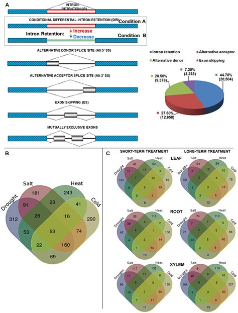 Frontiers Abiotic Stresses Modulate Landscape Of Poplar Transcriptome