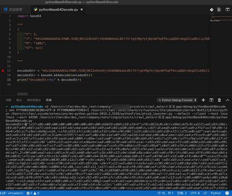 【已解决】python中实现java中的base64 decode解码加密字符串 在路上