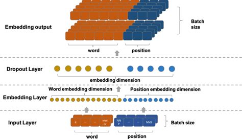the structure of the embedding layer we take word and position