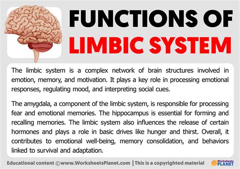 Functions Of Limbic System